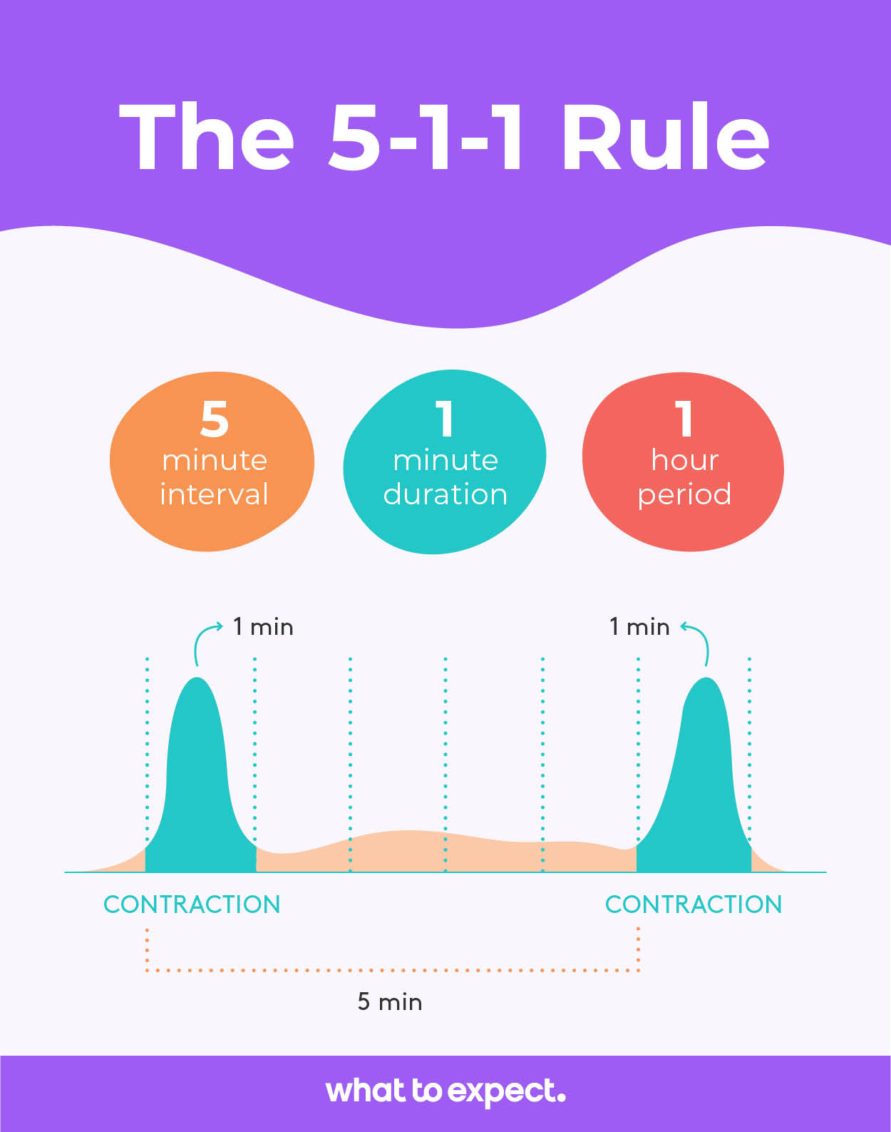 Newsletter – Wisdom The Sweetness